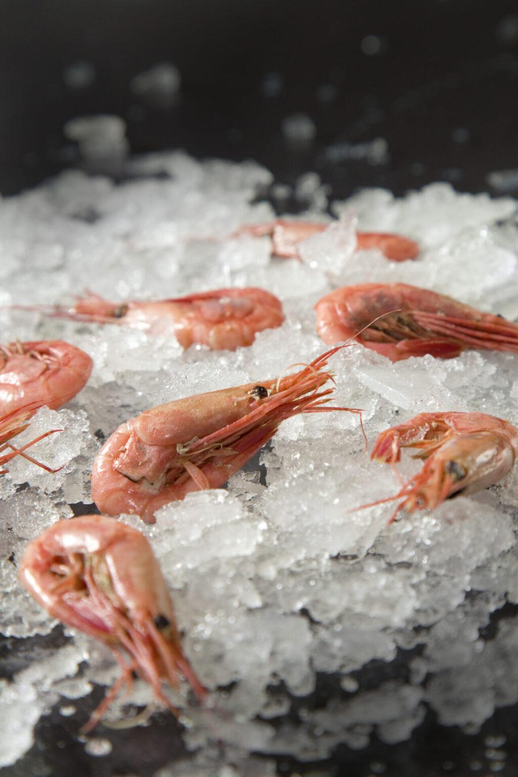 Poissonnerie - Poissonnerie Les Escoumins